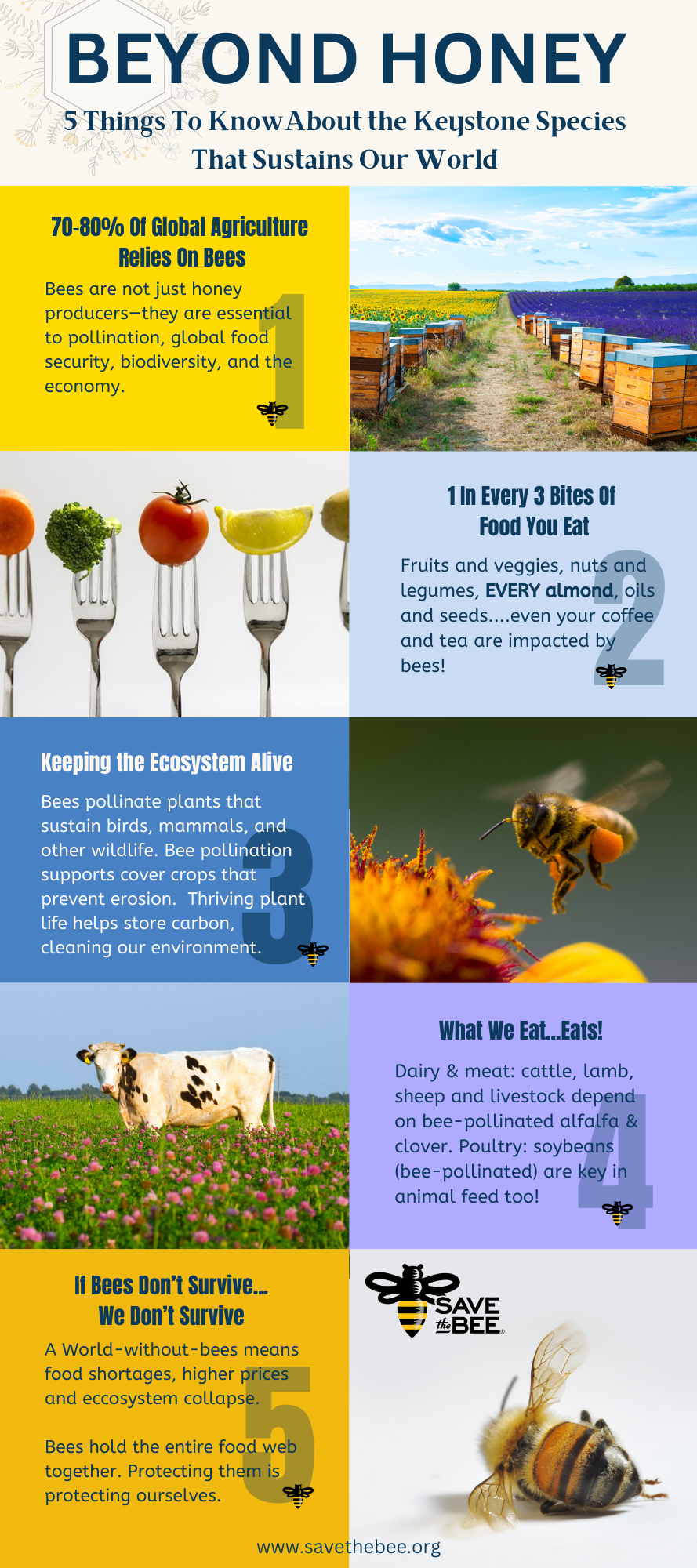 Beyond Honey: Why Bees Are the Most Important Living Beings on Earth