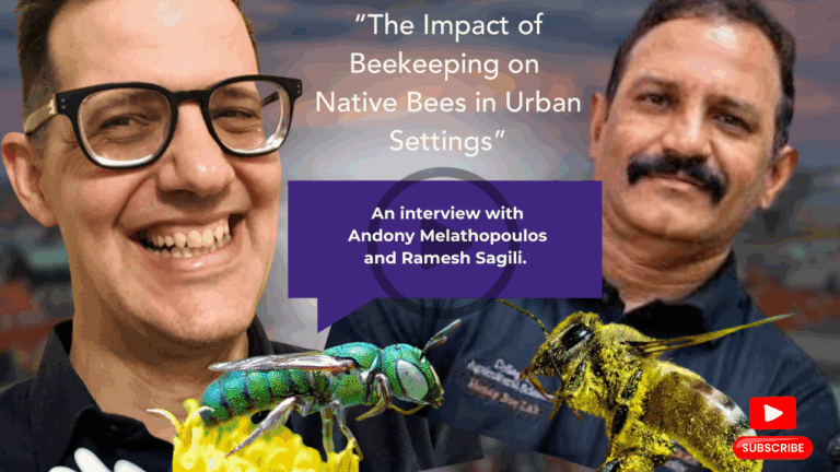 Honey Bees, Native Bees, and the Question of Competition | Save the Bee