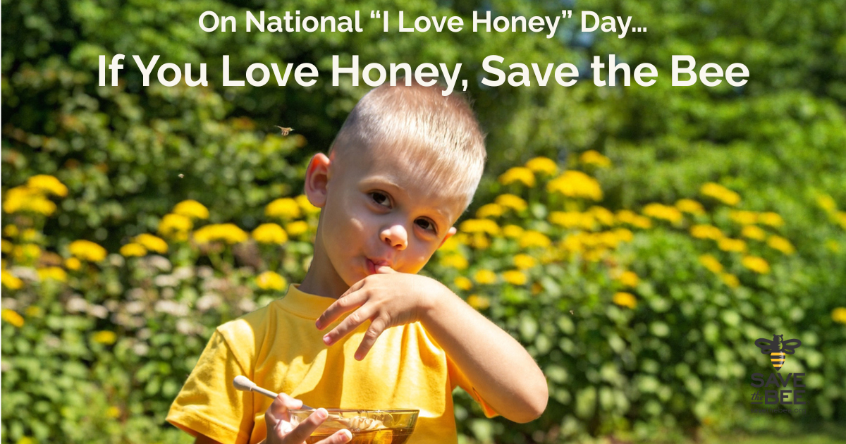 If You Love Honey, Save the Bee | Save the Bee