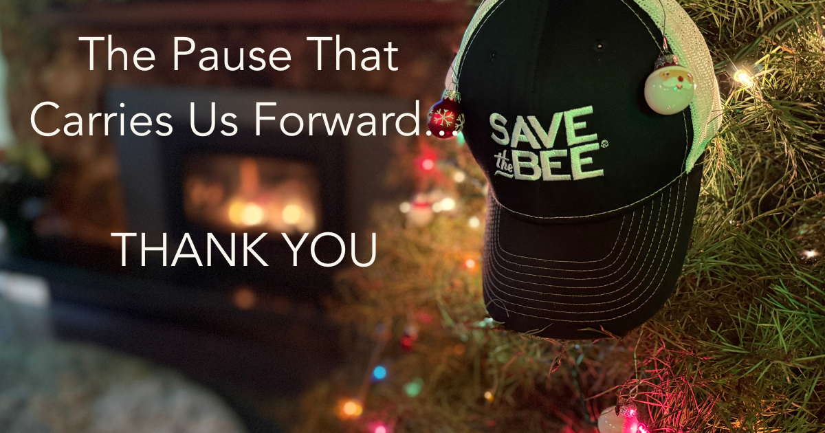 The Pause That Carries Us Forward | Save the Bee
